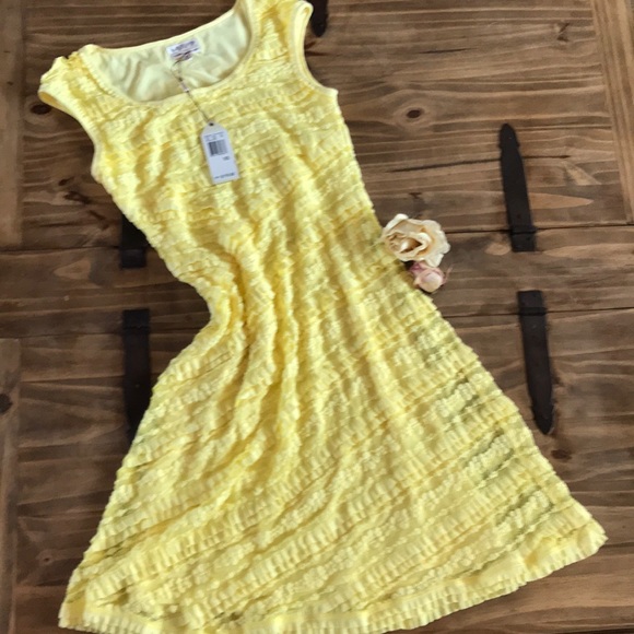 Max Studio | Dresses | Mssp Sunshine Yellow Lace Dress | Poshmark